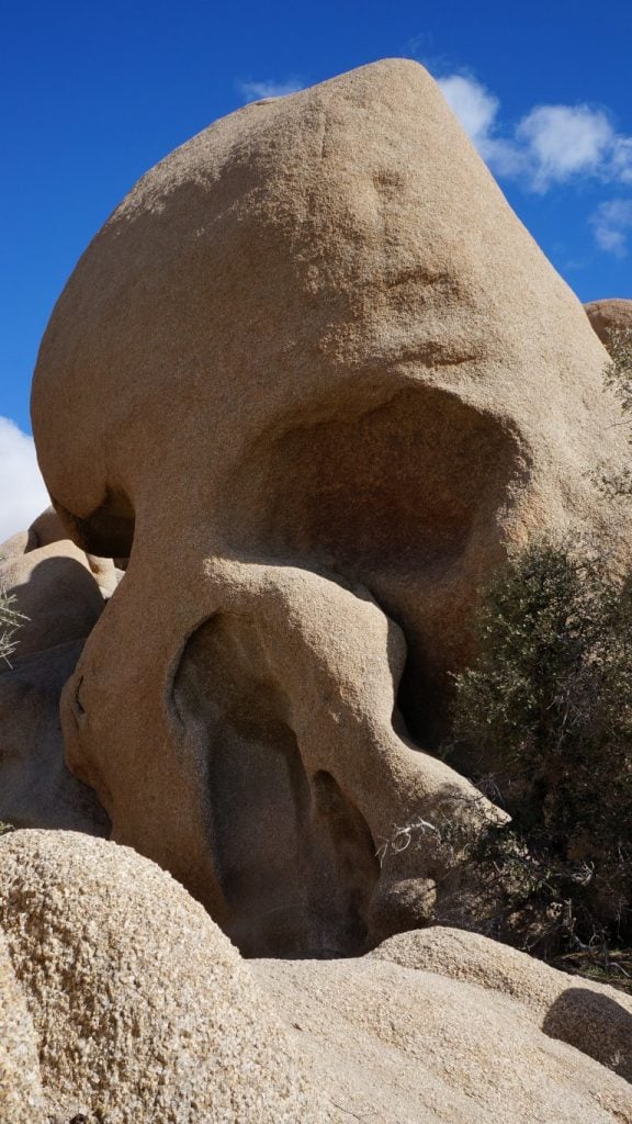 10 Best Spots for Amazing Joshua Tree National Park Camping