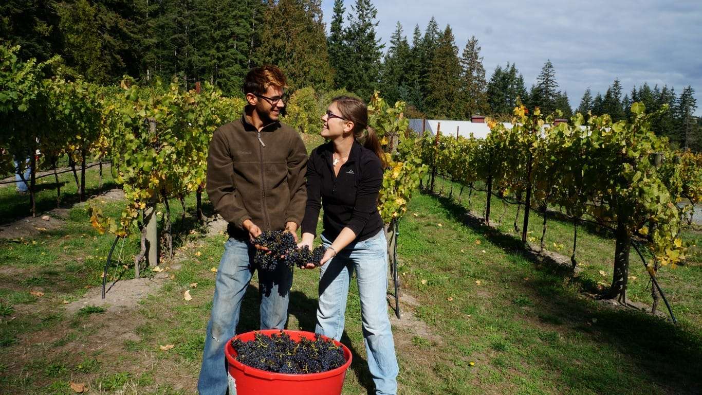 Top 7 Workamping Jobs for Seasonal and Full-Time RVers